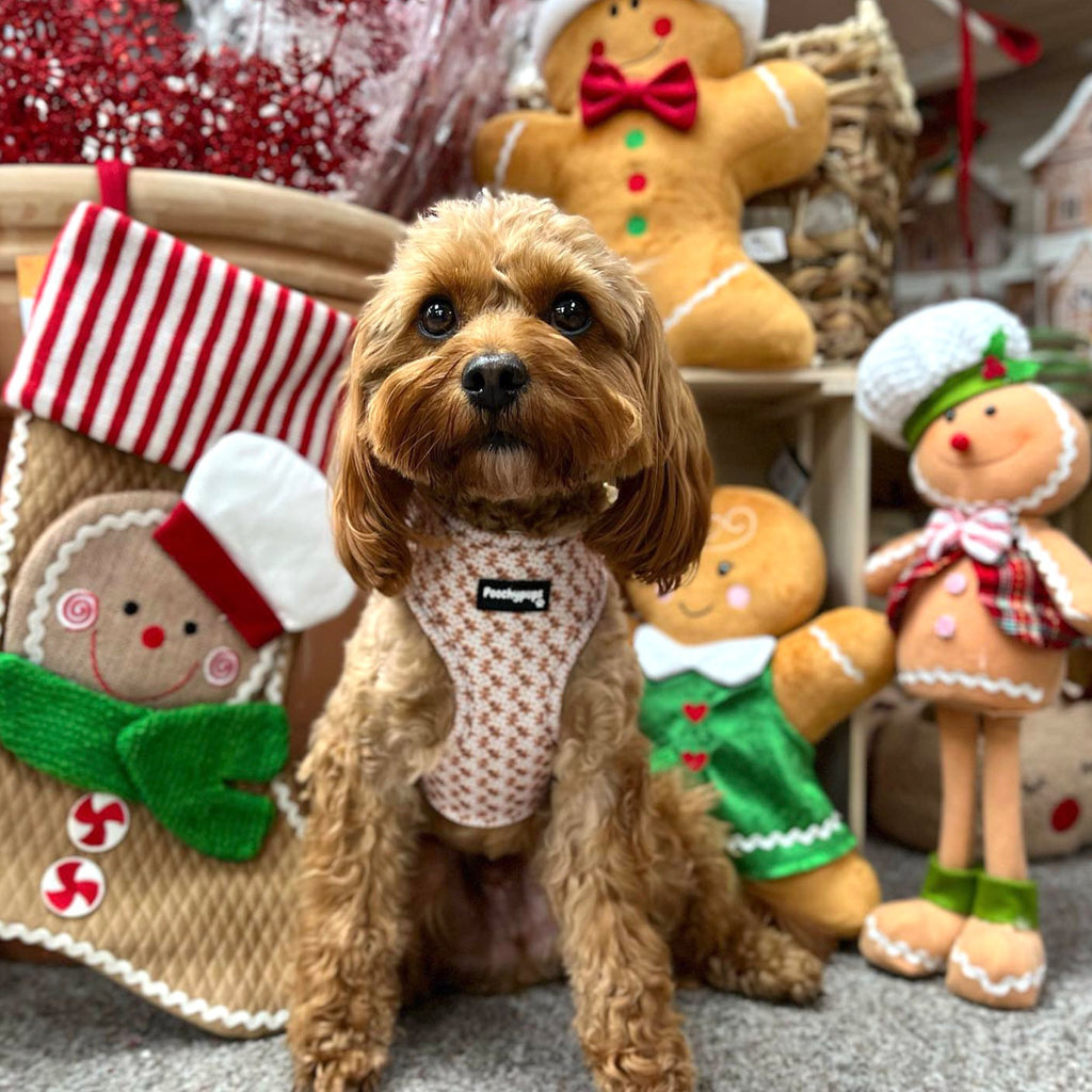 Ginger All The Way Adjustable Dog Harness – PoochyPups - Dog Harnesses ...