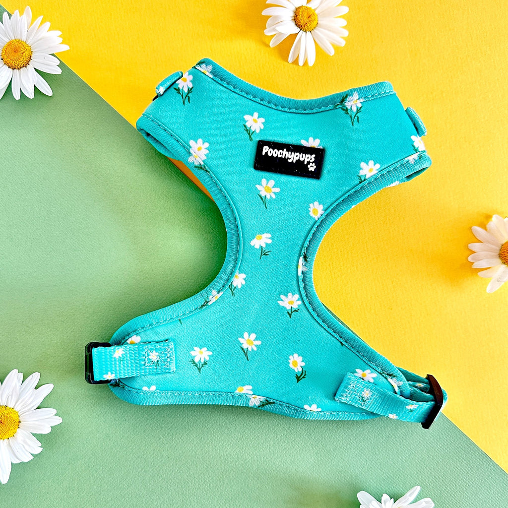 Oopsy Daisy Adjustable Dog Harness – PoochyPups - Dog Harnesses & Toys