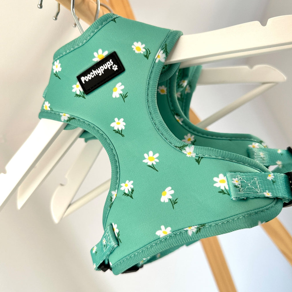 Oopsy Daisy Adjustable Dog Harness – PoochyPups - Dog Harnesses & Toys
